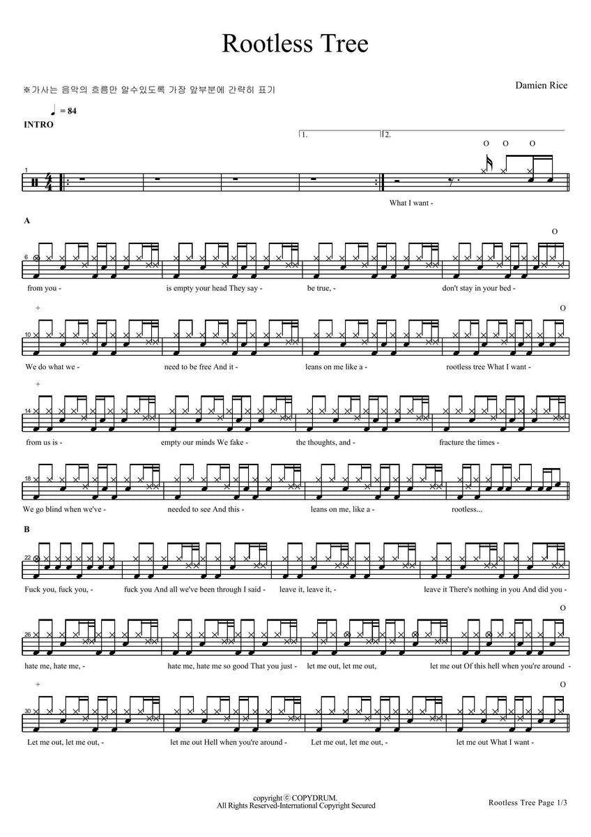 Rootless Tree - Damien Rice - Full Drum Transcription / Drum Sheet Mus – DrumSetSheetMusic