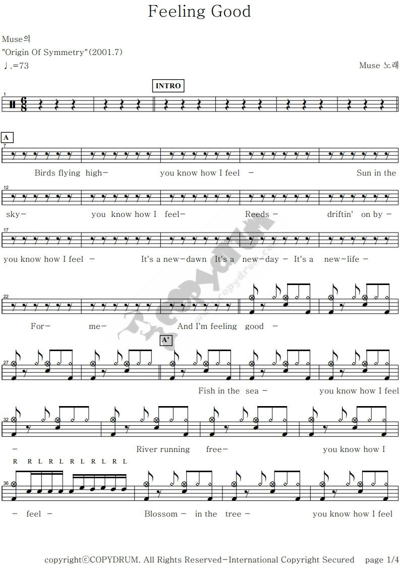 Feeling Good - Muse - Full Drum Transcription / Drum Sheet Music - COP ...